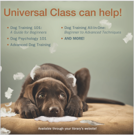 UniversalClass Library Marketing Kit